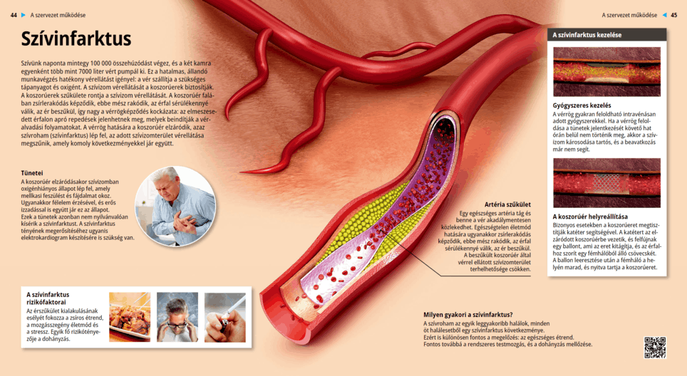 cadaVR Anatomy by Mozaik Education