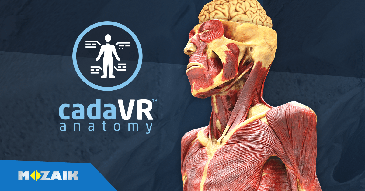 cadaVR anatomy by Mozaik Education
